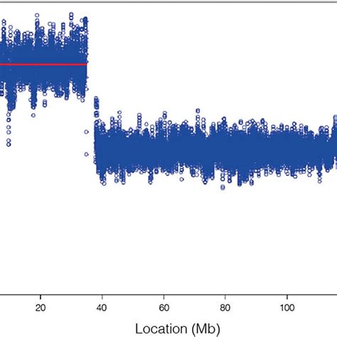 17 1 Workflow Of Cnv Detection By Low Pass Whole Genome Sequencing Download Scientific