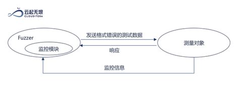 Fuzzing 模糊测试 的前世今生下 知乎
