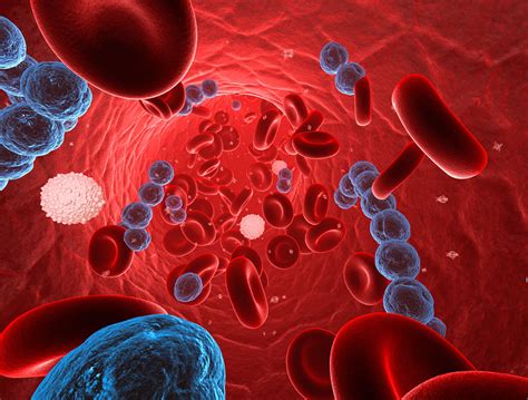 Immune System Error Creates Vulnerability To Sepsis Immunology