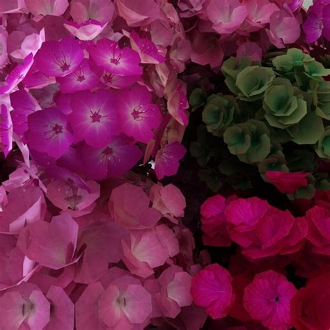 흰 냄비에 식물 3d 모델 39 3ds Fbx Max Obj Unknown Free3d