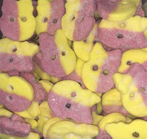 En Oversigt Over Bubs Populære Produkter Snold Dk