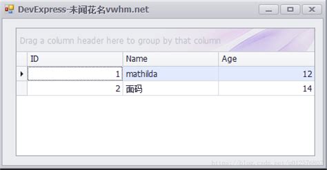 Devexpress绑定数据库2devexpress Idataserializer Dataset Csdn博客