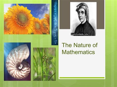 The Nature Of Mathematics Pt1 Pptx