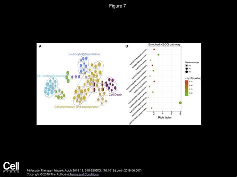 recurrence associated long non coding rna signature for determining the