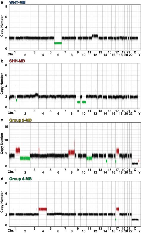 Medulloblastoma And Cns Primitive Neuroectodermal Tumors Basicmedical Key