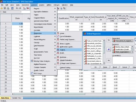spss data entry and analysis upwork