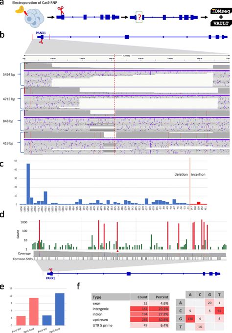 Quantitative Analysis Of Dna Repair Outcome Of Cas9 Induced Dna Download Scientific Diagram