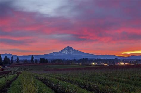 Jarrod Lyman On Linkedin I Enjoy The Fact That Part Of My Job Duties Align Quite Well With My Love