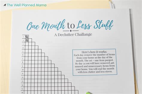 One Month Declutter Plan Organization Well Planned Paper