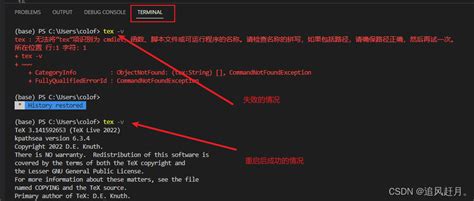 科研学术的写作环境搭配（latex vscode sumatra pdf skim）win mac通用 latex 必须用sumatrapdf吗 csdn博客