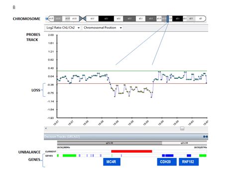 Patients Array Comparative Genomic Hybridization Acgh Data Result Download Scientific