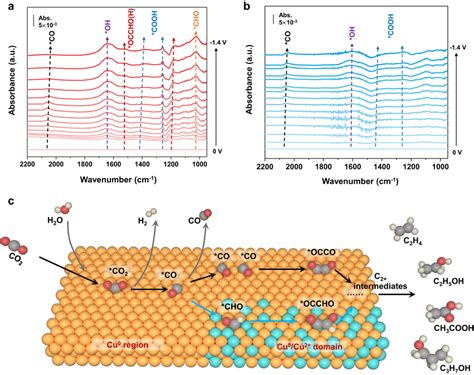 Insights Into Co2 To C2 Electroreduction In Situ Seiras Differential Download Scientific