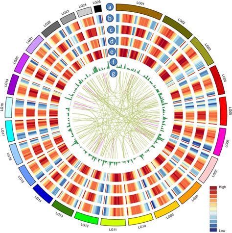 Smrt Sequencing Analysis Reveals The Full Length Transcripts And