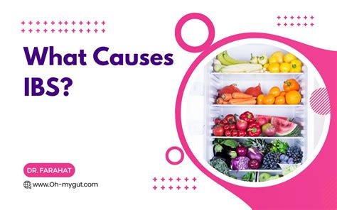 Causes Of Ibs 9 Interesting Theories Oh My Gut