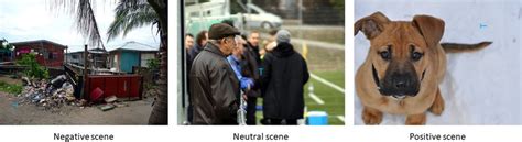 Representative Examples Of Visual Search Stimuli Targets Were Embedded