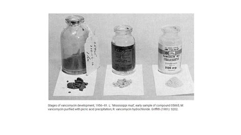 Vancomycin And Nephrotoxicity Snap Trial