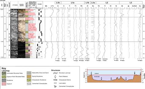 Llustrating A Geochemical Sequence Of The Littoral Depositional