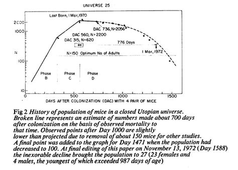 Mouse Experiment Utopia Saloce