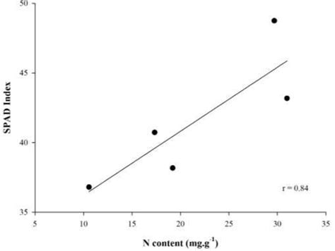 Correlation Between N Content In The Dry Matter And Relative