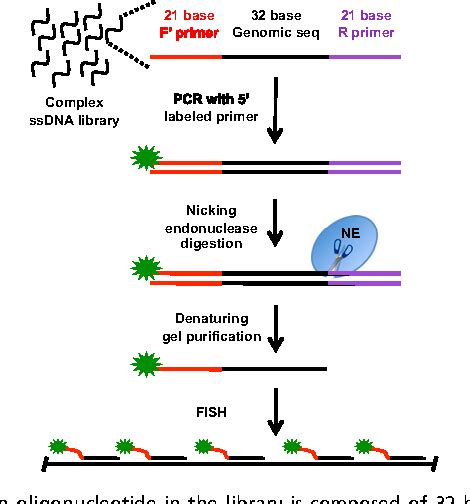 Figure 1 From Versatile Design And Synthesis Platform For Visualizing