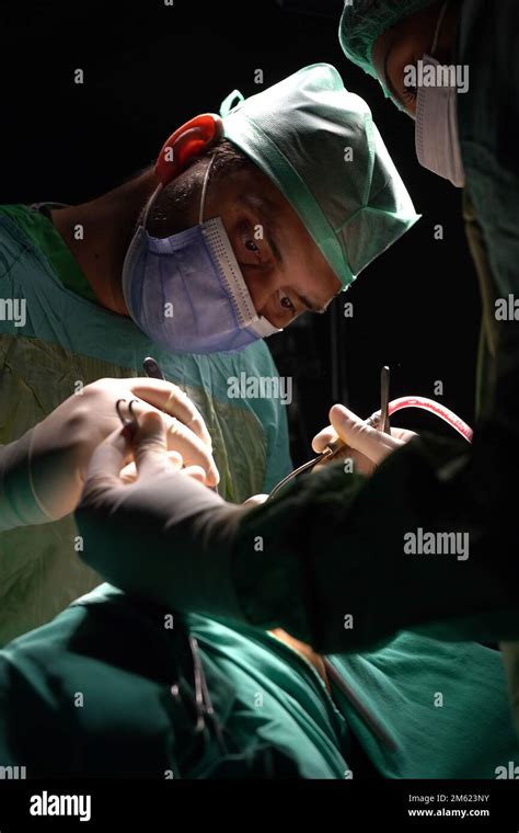 Rhinoplasty Surgery Defects In The Shape Of The Nose In The Female