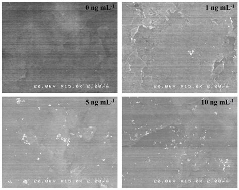 Electrochemical Immunoassay Using Open Circuit Potential Detection Labeled By Platinum