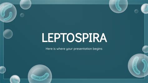 Leptospira Presentation