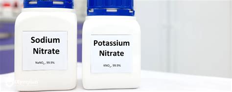Nitrate And Nitrite Testing Methods An Overview Of Common Analytical Techniques Olympian