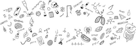 Ninja Nerd Medicine Lectures Notes And Illustrations