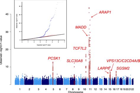 Manhattan Plot Of The Association P Values For Fasting Proinsulin Download Scientific Diagram