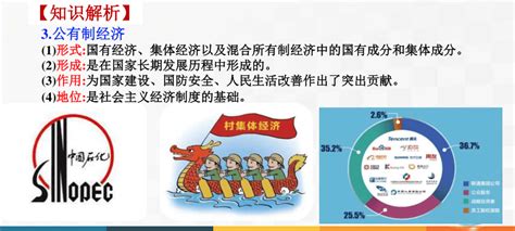 1 1公有制为主体 多种所有制经济共同发展 课件（共29张ppt） 21世纪教育网