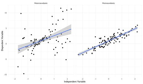 The Tale Of Homoscedasticity And Heteroscedasticity Unveiling The Mystery Of Variability Dawn