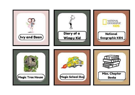 Classroom Library Labels By Sara White Tpt