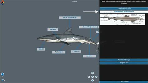3d Bio Ilab Cbse Demo Video By Labinapp Youtube