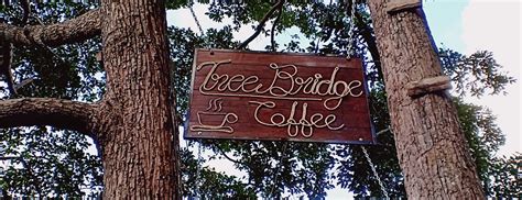 Tree Bridge Zip Line