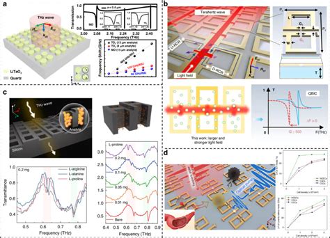 Surface Enhanced Spectroscopy Technology Based On Metamaterials Pmc