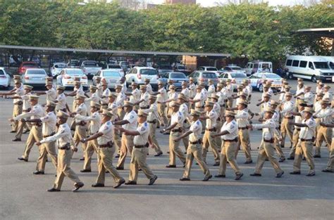 Traffic Cop Download Z83 And Apply For A Traffic Management