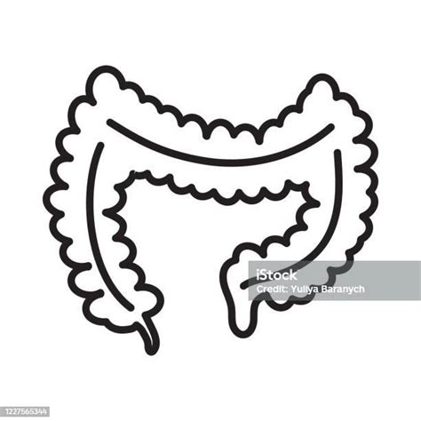 의료 웹 사이트 응용 프로그램 Dysbiosis 프로바이오틱스 로고에 대한 장 개요 아이콘 벡터 간단한 건강 관리 인간의 장기 그림입니다 건강 진단에 대한 스톡 벡터 아트