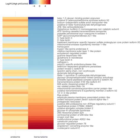 Comparison Of Differently Expressed Genes Between Proteomic And