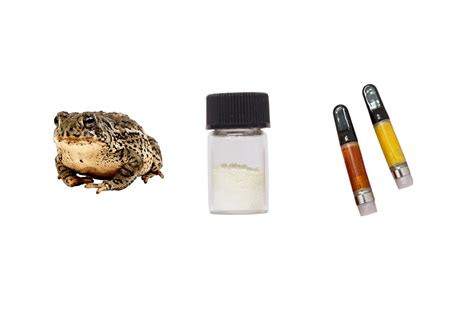 Hempearth 5 Meo Dmt And Toad Venom Hempearthca Quality Service