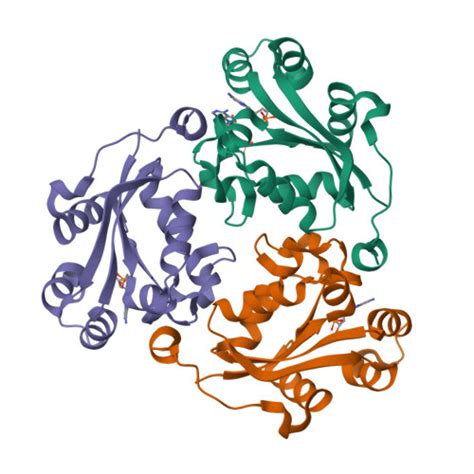 Rcsb Pdb 9pg0 Crystal Structure Of Nucleoside Diphosphate Kinase Cryptosporidium Parvum In