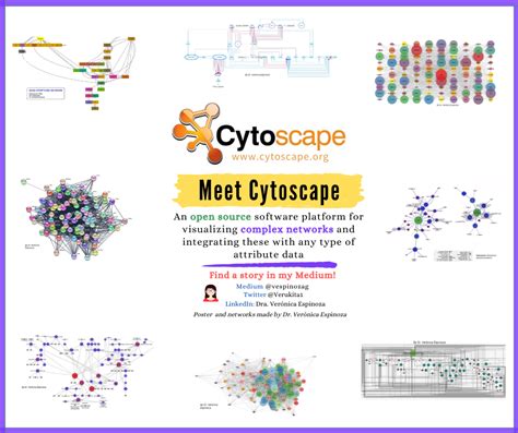 Meet Cytoscape Open Source Software For Visualizing Complex Networks By Dr Veronica Espinoza