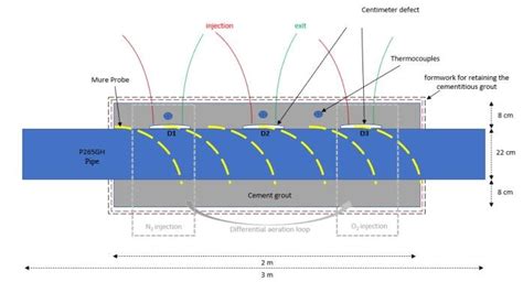 Schematic Representation Of The Assembly Download Scientific Diagram