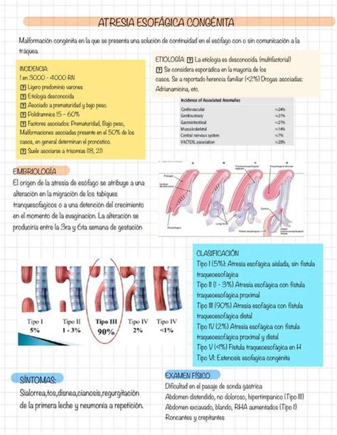 Atresia Esofágica Congénita Julianne Lucia Ramirez Amado Udocz