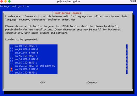 Raspberry Piとawsを繋いでみる ~はじめの一歩~ Developersio