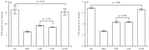 Effect Of Lercanidipine Carvacrol And Their Combination On Ischemia And Reperfusion Induced