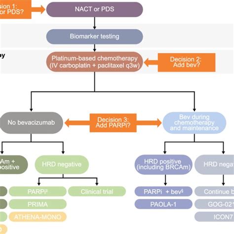 Proposed Treatment Algorithm For Newly Diagnosed Ovarian Cancer