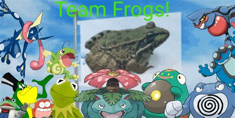 Team Frogs Rpm7