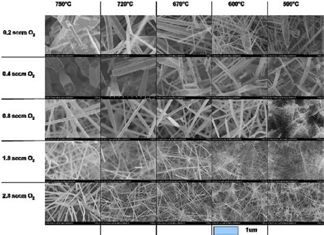 Matrix Of Sem Micrographs Of Type B Ito Nws Formed At Different Download Scientific Diagram