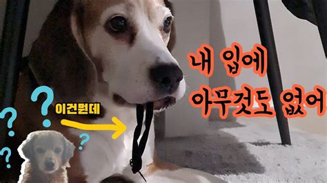 엄마는 어떻게 안걸까👀 Youtube